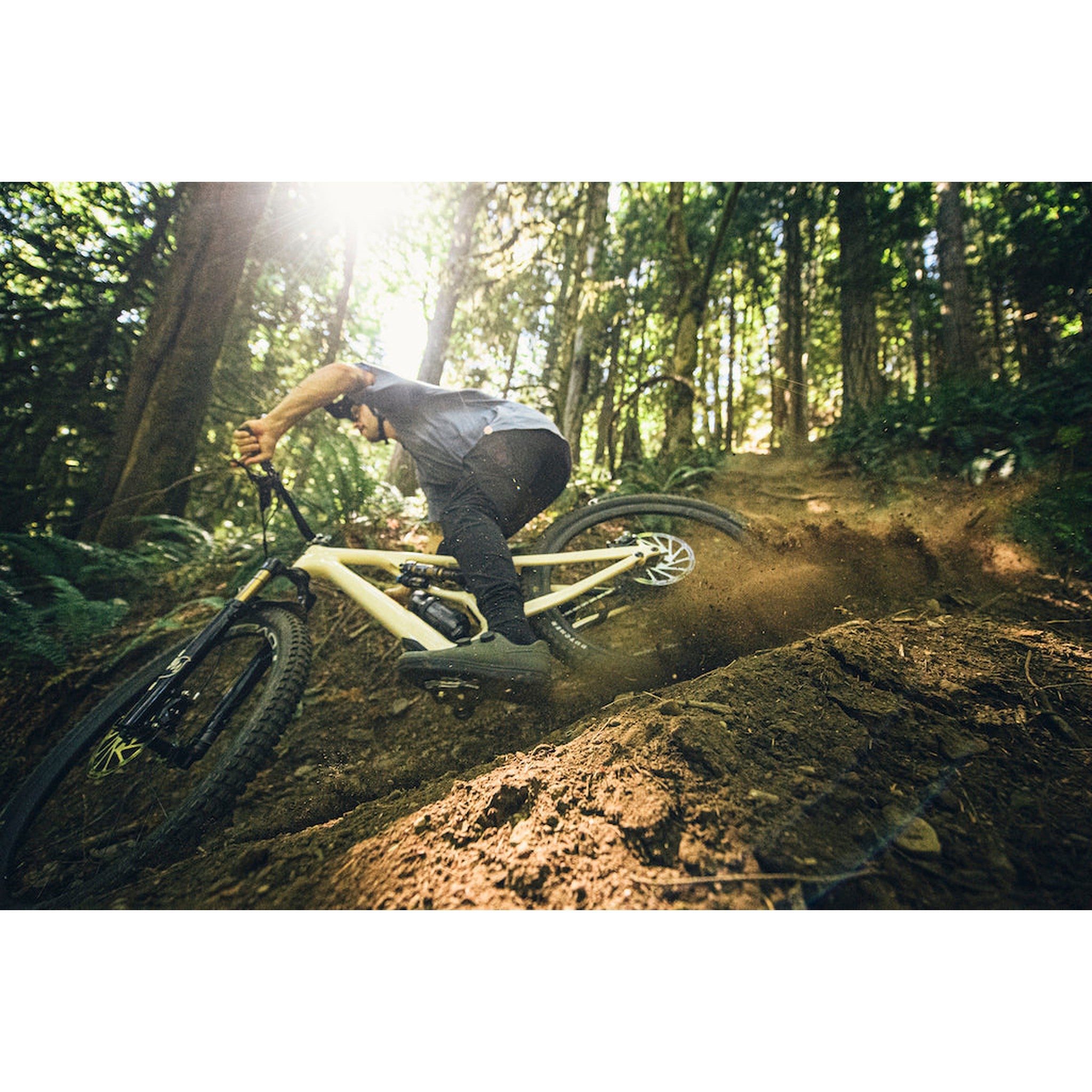 Specialized Bicycle Components | Complete Cyclist
